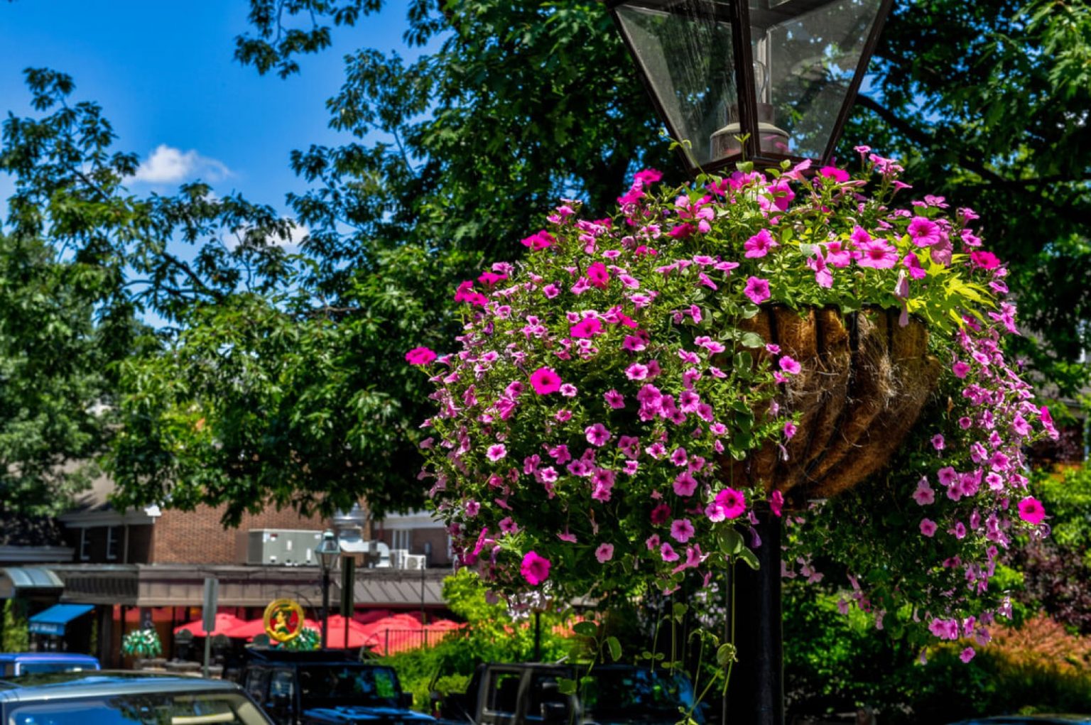 Gallery - Around the Square | Palmer Square