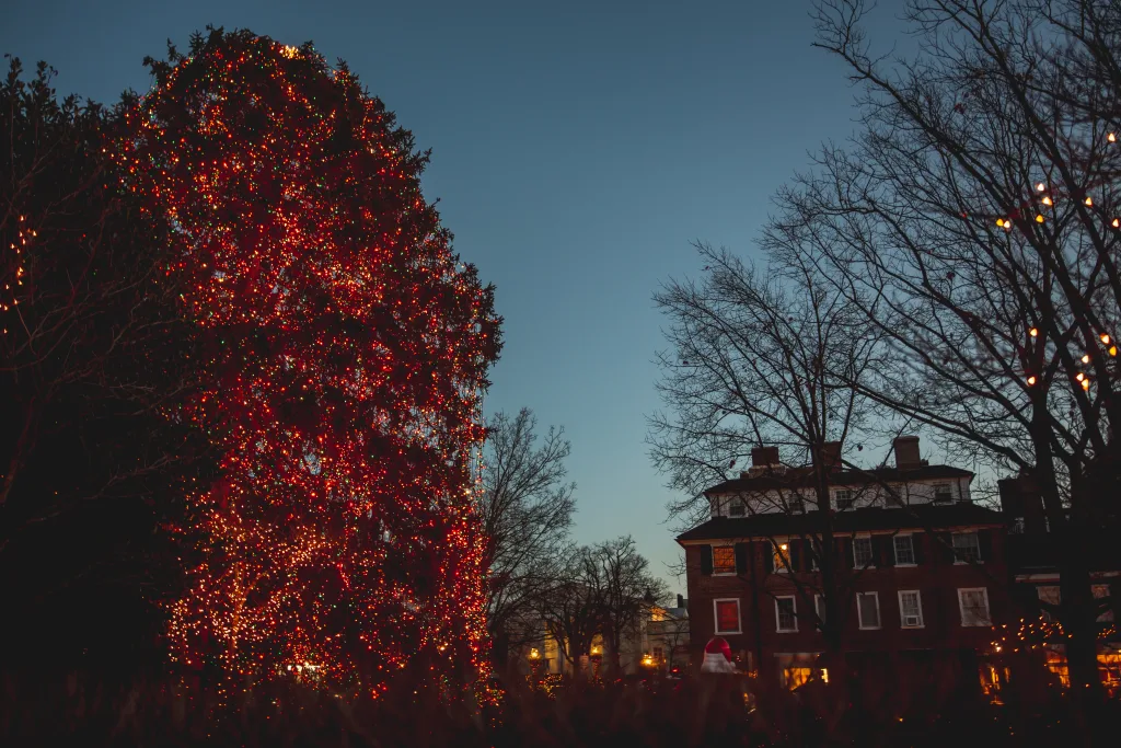 Palmer Square Annual Tree Lighting